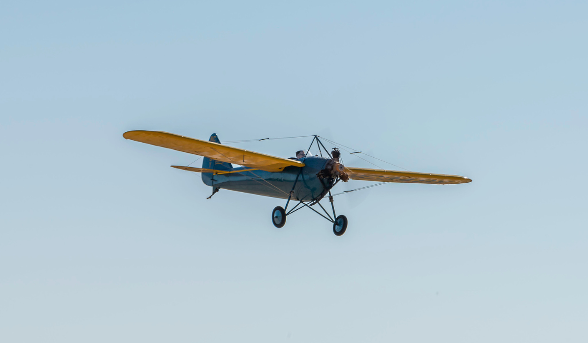 1931 Buhl LA-1 “Pup” | Ala Doble Flying Collection