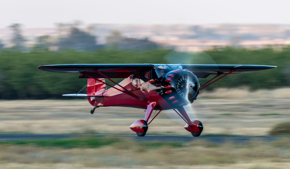 Younkin-Dake Mullicoupe | Ala Doble Flying Collection