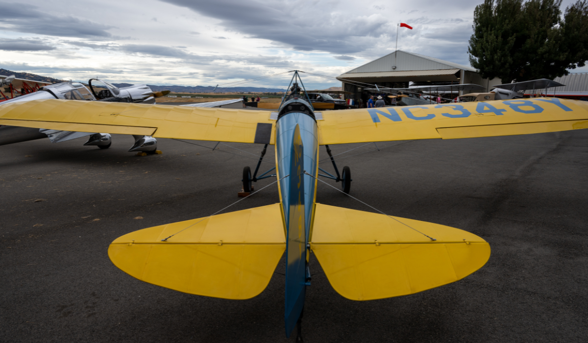 1931 Buhl LA-1 “Pup” | Ala Doble Flying Collection